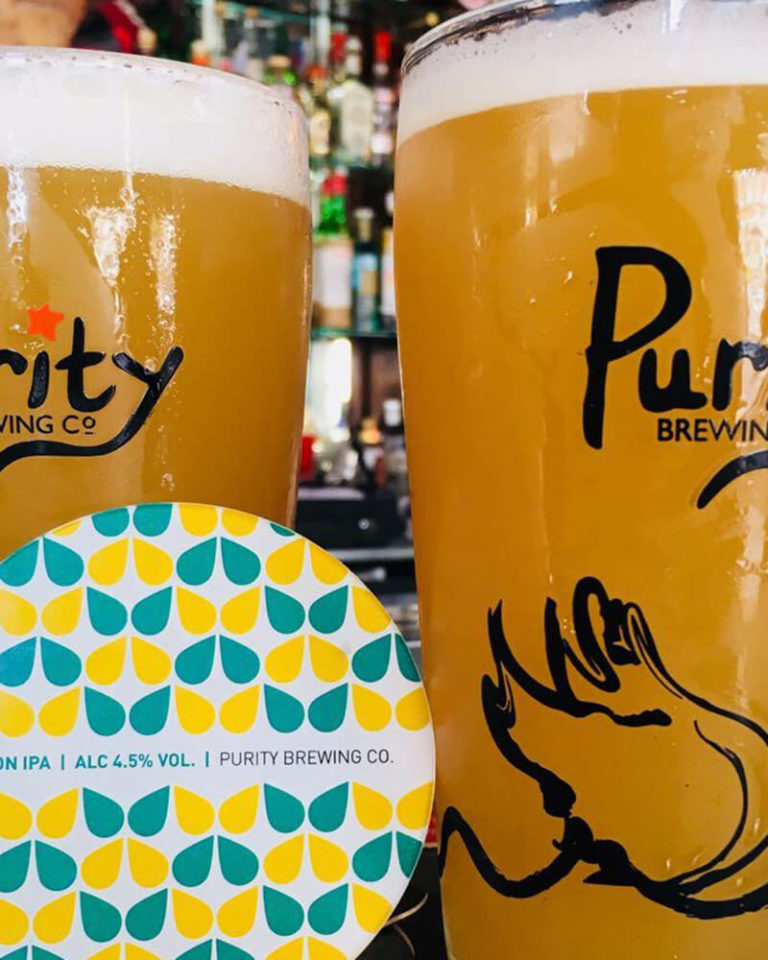 purity-session - The Beehive Montpellier